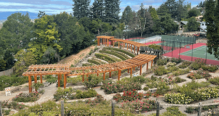 The Top 10 Things To Do in Berkeley, California - USA Tourism